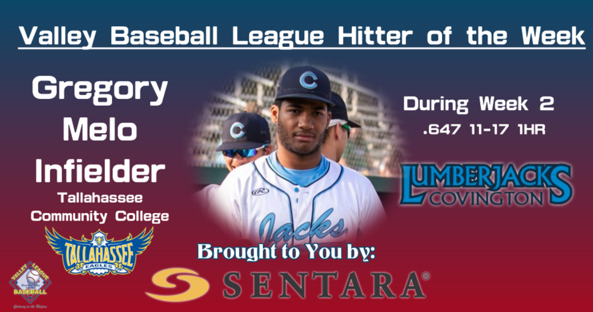 Week Two: VBL Hitter and Pitcher(s) of the Week - Valley League Baseball