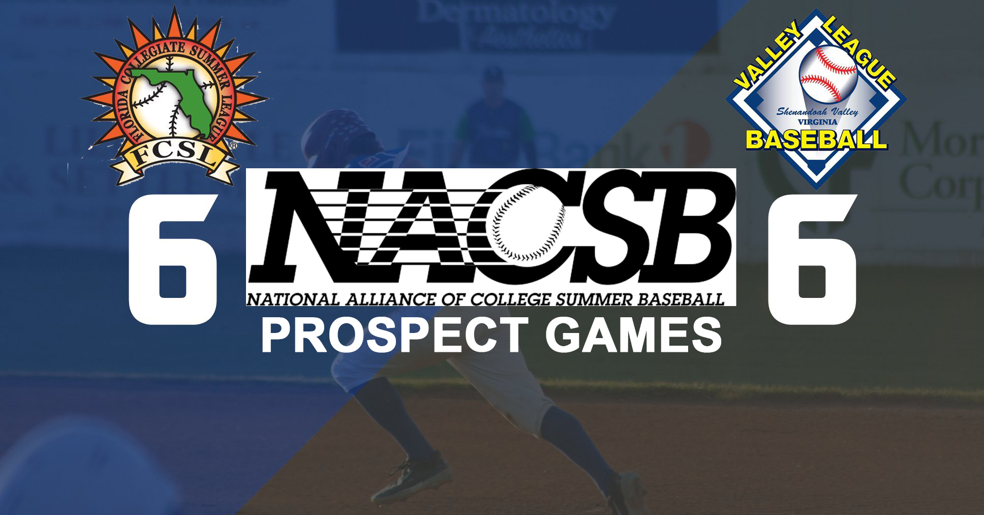 VBL, Florida Play To 6-6 Tie - Valley League Baseball